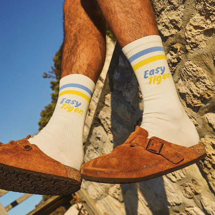 Easy Tiger Socks Multi Stripe Kids 100% Cotton Ankle Socks